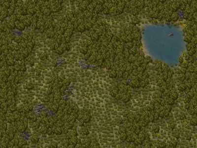 Deciduous Forest - D&D Crafting